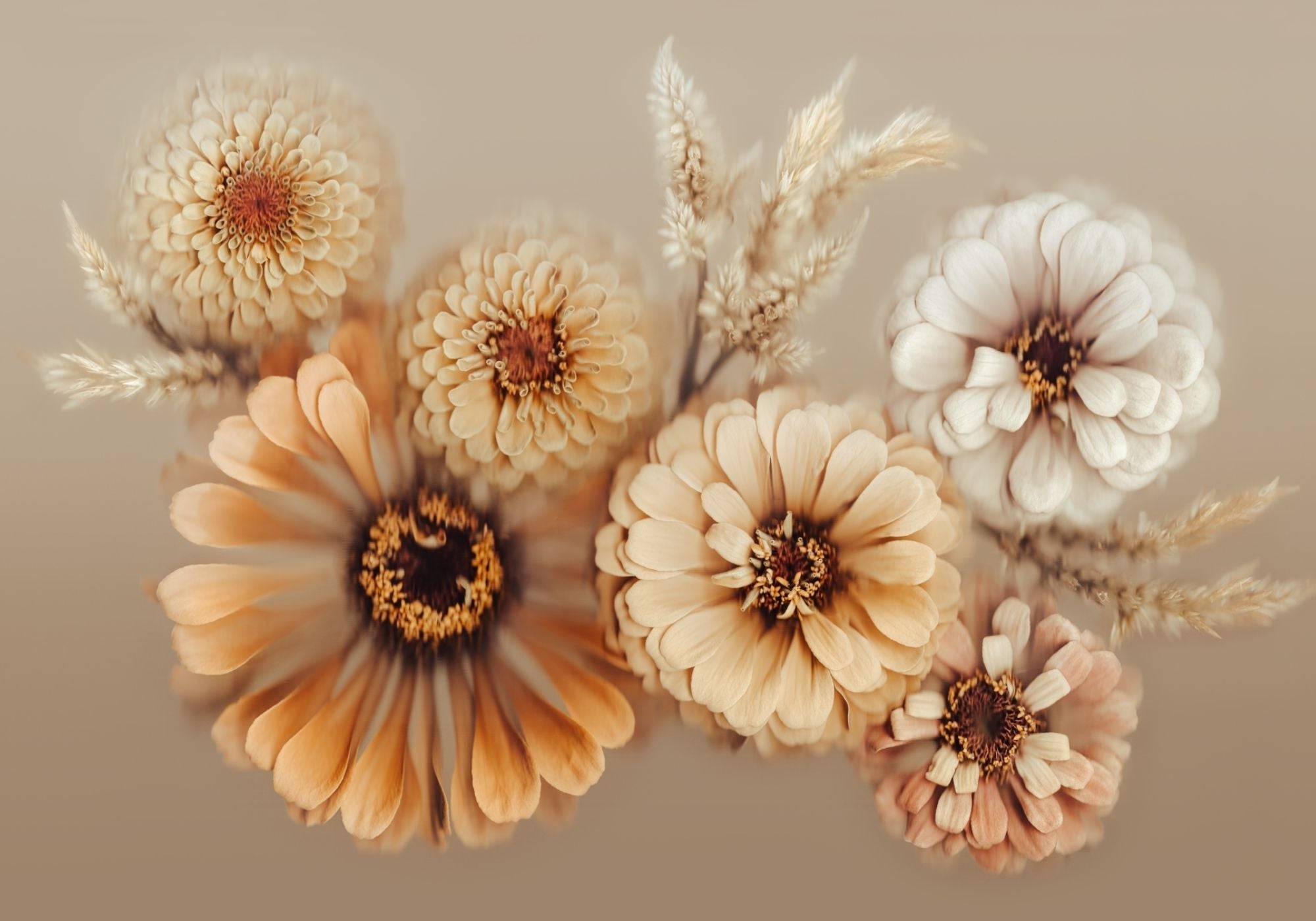 Fine Print Co Exclusive | Botanical Photographic Fine Art Prints ...