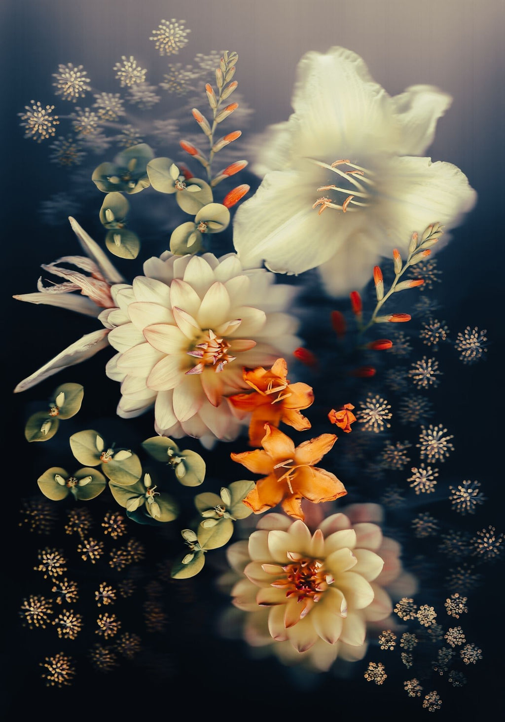 Cosmic Explosion - Botanical Photographic Fine Art Print | Made by ...